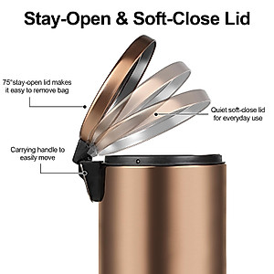 Garbage Bin, Gold Stainless Steel Foot Open Lid Garbage Bin, 8l/2.1 Gallon Detachable Garbage Bin with Lid, Foot Operated, Circular, Suitable for Large Garbage Bins in Toilets, Kitchens, Living Room