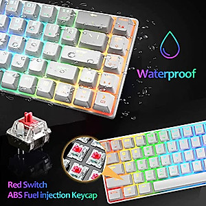 LexonElec Mechanical Gaming Keyboard 18 Chroma RGB Backlit 60% Percent Keyboard with Type C Red Switches 68 Keys Anti-ghosting Wired Gaming Keyboard for PC/Mac Gamer,Typist,Tactile-White