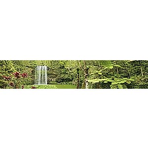 Reptile Habitat Background; Rain Forest, Waterfall, Red Leaves, for 48Lx18Wx18H Terrarium, 3-Sided Wraparound