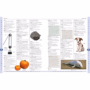 Merriam-Webster Children's Dictionary, New Edition: Features 3,000 Photographs and Illustrations