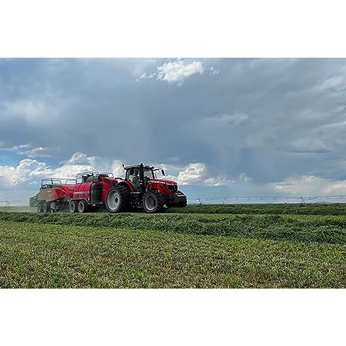 Bulk Fresh Alfalfa Hay 80oz by Bunny Honey - USDA Organic Hay for Small Select Pets, Guinea Pigs, Rabbits, Hamsters - Best Cut & Delivered Fresh - Promotes Healthy Digestive Function - 5 Pound