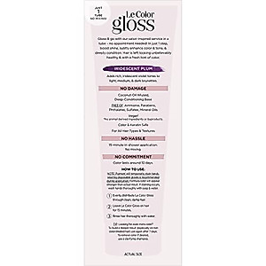 L'Oreal Paris Le Color Gloss One Step In-Shower Toning Hair Gloss, Neutralizes Brass, Conditions & Boosts Shine, Iridescent Plum Purple, 4 Ounce