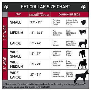 Dog Collar Seatbelt Buckle She Hulk Comic Book Cover Poses Rocks 15 to 26 Inches 1.0 Inch Wide, DC-WXM022-L