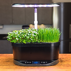 AeroGarden MicroGreens Kit for Bounty Gardens - Includes Seeds, Tray, and AeroFelt