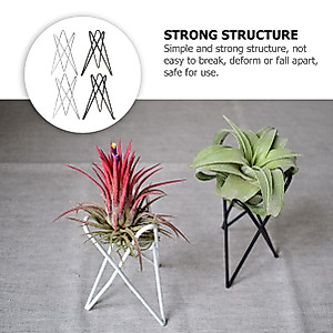 TEHAUX 4pcs Flower Stand Geometric Plant Stand Pots for Outdoor Plants Planters for Indoor Plants Pots for Indoor Plants Modern Plant Stands Tillandsia Stand Wall Mount Air Office Metal