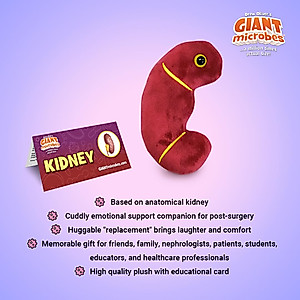 Giantmicrobes Kidney Plush, Kidney Stuffed Animal, Kidney Transplant Gifts, Kidney Donor Gifts, Kidney Pillow, Urology Gifts, Nephrology Gifts, Dialysis Nurse Gifts, Gifts For Urologist, Kidney Toy
