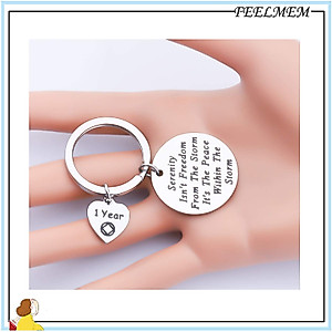 FEELMEM NA Recovery Gift 1 Year 18 Months 2 Years 3 Years NA Sobriety Anniversary Keychain NA Recovery Serenity Prayer Sobriety Gift (1 years)