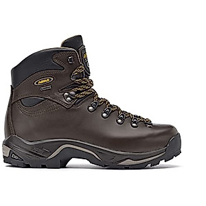 Asolo Men's TPS 520 GV EVO Long Distance, Backpacking, Trekking, Technical Terrian Hiking Boots (Chestnut, 11)