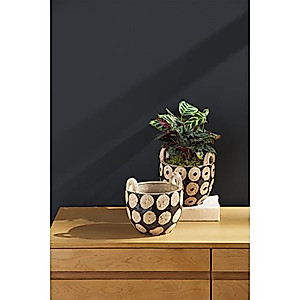 Mud Pie Terracota Glaze Pot, Open Dot, 5.5" x 6.1" dia