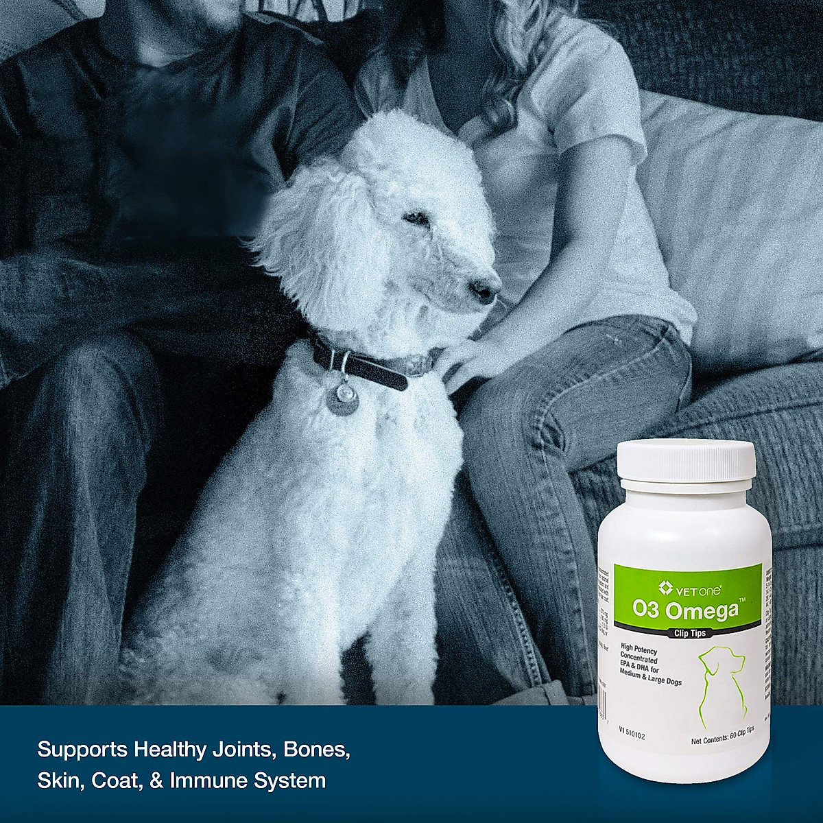 VetOne: O3 Omega™ Clip Tips Nutritional Supplement with Omega 3 Fatty Acids - Medium and Large Dogs (60 Count Bottle)