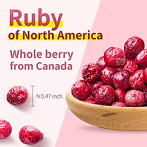 Frenature Freeze Dried Cranberries, Natural Freeze Dried Fruits, Canada Whole Dried Cranberries, Camping Food & Healthy Snacks, Gluten Free and Vegan, 1.27 Ounce (Pack of 2)