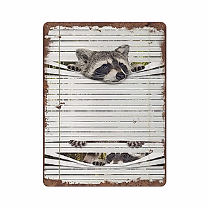 Dreacoss Raccoon Climbing Window Retro Tin Sign Raccoon Lovers Gift Funny Tin Sign For Home Bedroom Bathroom Garden Office Lounge Craft Room Home Decor Birthday Anniversary Housewarming Gift 8x5.5 In