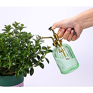 Aebor Glass Plant Mister Spray Bottle, 7.5" Green Glass Water Spray Bottle with Gold Top Pump Small Watering Can, Small Plant Sprayer Mister for Indoor Outdoor House Plant, Green+Gold (Green+Gold E)