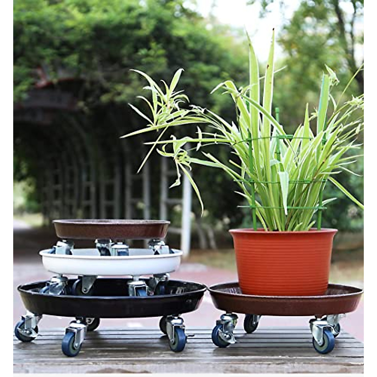 MYBAQ,Plant Dolly,Plant Caddy,Plant Roller Base,Plant Caddy with Wheels Heavy Duty,Plant Caddy with Wheels,Planter Mover, Round Plant Roller Base for Vertical Planting Troughs,Plant Pots,Trash Cans.