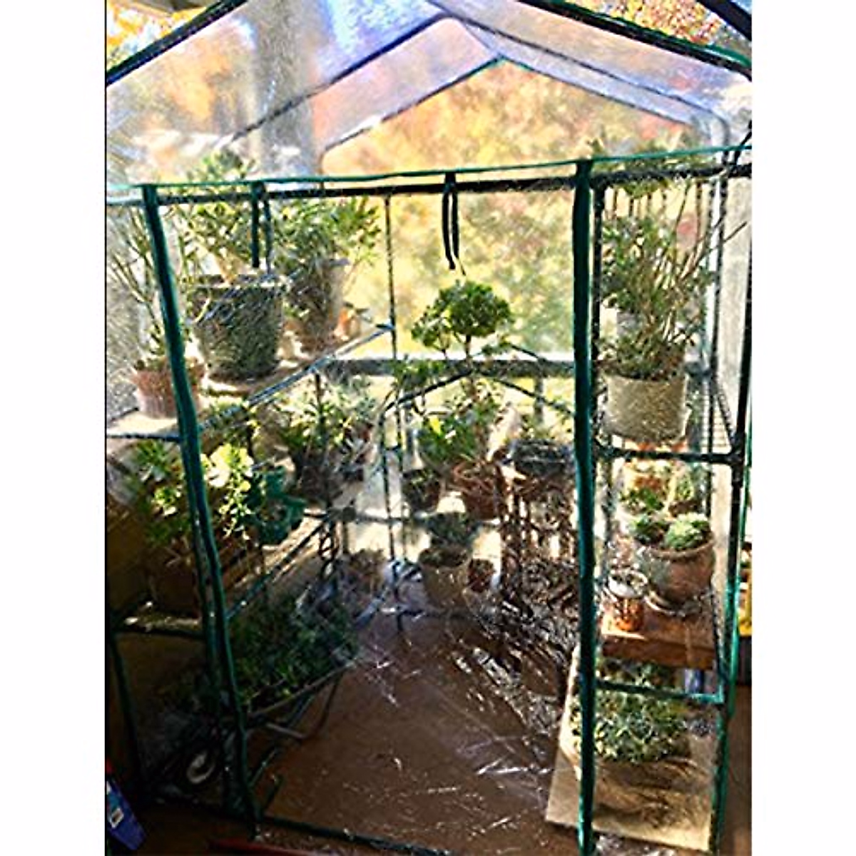 Greenhouse - Walk in Greenhouse with 8 Sturdy Shelves and PVC Cover for Indoor or Outdoor Use - 56 x 56 x 76-Inch Green House by Home-Complete