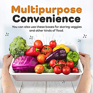 GSM Brands Pizza Dough Proofing Box - Stackable Commercial Quality Trays with Covers (17.25 x 13 Inches) - 2 Trays and 2 Covers