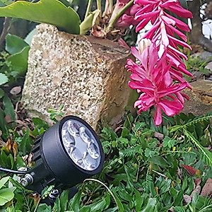 Legacy Mini 50X Twin Solar-Powered LED Spotlight (Warm White LED) for Outdoor Garden Yard Landscape Uplight Downlight, Waterproof, Black Finish