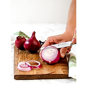 MasterClass All Purpose Small Kitchen Knife with EdgeKeeper Knife Sharpener Sheath, Stainless Steel, 11 cm