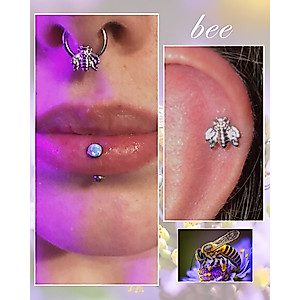 Melighting 3pcs Bee Cartilage Earrings 316L Surgical Steel 16G Septum Jewelry Helix Earrings Honeycomb Tragus Earring Stud for Women Daith Piercing Conch Earring