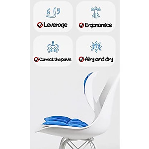 Taiwan Hip Comfortable Lumbar Back Support. Perfect for Home, Office, Desk Chair. Technology for Pelvic Correction. Low Back (Grey) Pain Relief