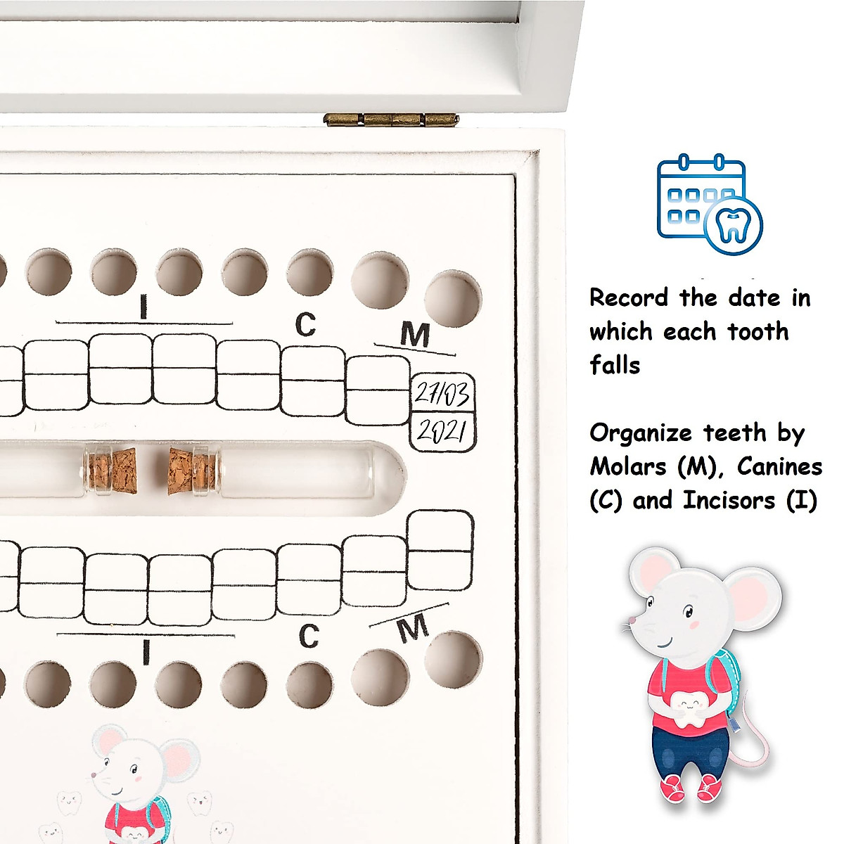 Dravira Baby Keepsake Tooth Box - Lost Teeth Holder Boy and Girl - Tooth Fairy Organizer - Gift for Parents and Kids - White Wood