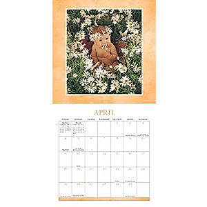 Anne Geddes 2021 Wall Calendar