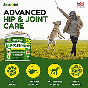 Glucosamine for Dogs - Hip & Joint Supplement for Dogs - Arthritis Pain Relief Chews with Chondroitin, MSM, Turmeric, Vitamin C & E - for Large, Medium & Small Dog - Health Supplies Made in USA