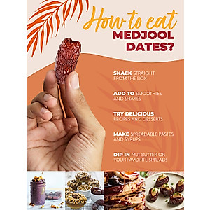Natural Delights Medjool Dates – Large & Plump, Pitted Dates Medjool, Non-GMO Verified, Pesticide Free, Naturally Sweet Fruit Snack, Perfect for On-the-Go - Medjool Dates Pitted, 12 oz Container