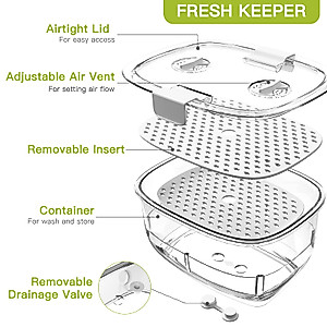 LUXEAR Fresh Produce Vegetable Fruit Storage Containers 3Piece Set, BPA-free, Partitioned Salad Container, Fridge Organizers, Used in Storing Fruits Vegetables, White