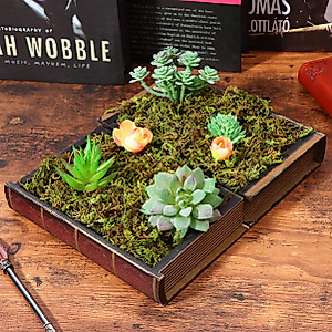 BESPORTBLE Moss Lifelike Artificial Green Moss for Flower Plant Garden Lawn Crafts Home Decoration