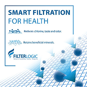 Filterlogic 3US-PF01 Under Sink Water Filter, Replacement for Advanced 3US-PF01, 3US-MAX-F01H, 3US-PF01H, Delta RP78702, Manitowoc K-00337, K-00338, HF20, HF25, HF27, HF25-S, HF20-I, Pack of 1