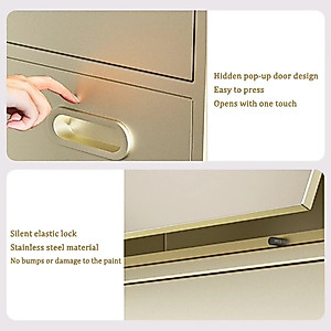 PFCDZDU Shower Niche, No Tile Recessed Stainless Steel Wall Niche With Trash Can, Double-Layer Vertical Shelf Insert Organizer For Bathroom Storage(Black,30x78x14cm)