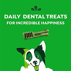 GREENIES Original Regular Natural Dog Dental Care Chews Oral Health Dog Treats, 36 oz. Pack (36 Treats)