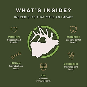 Good Trouble Pets Premium Elk Antlers for Medium Dogs - All-Natural, Shed Antler Chews for Dental Health & Calming - Durable Dog Bones for Aggressive Chewers - Cruelty-Free, North American Sourced