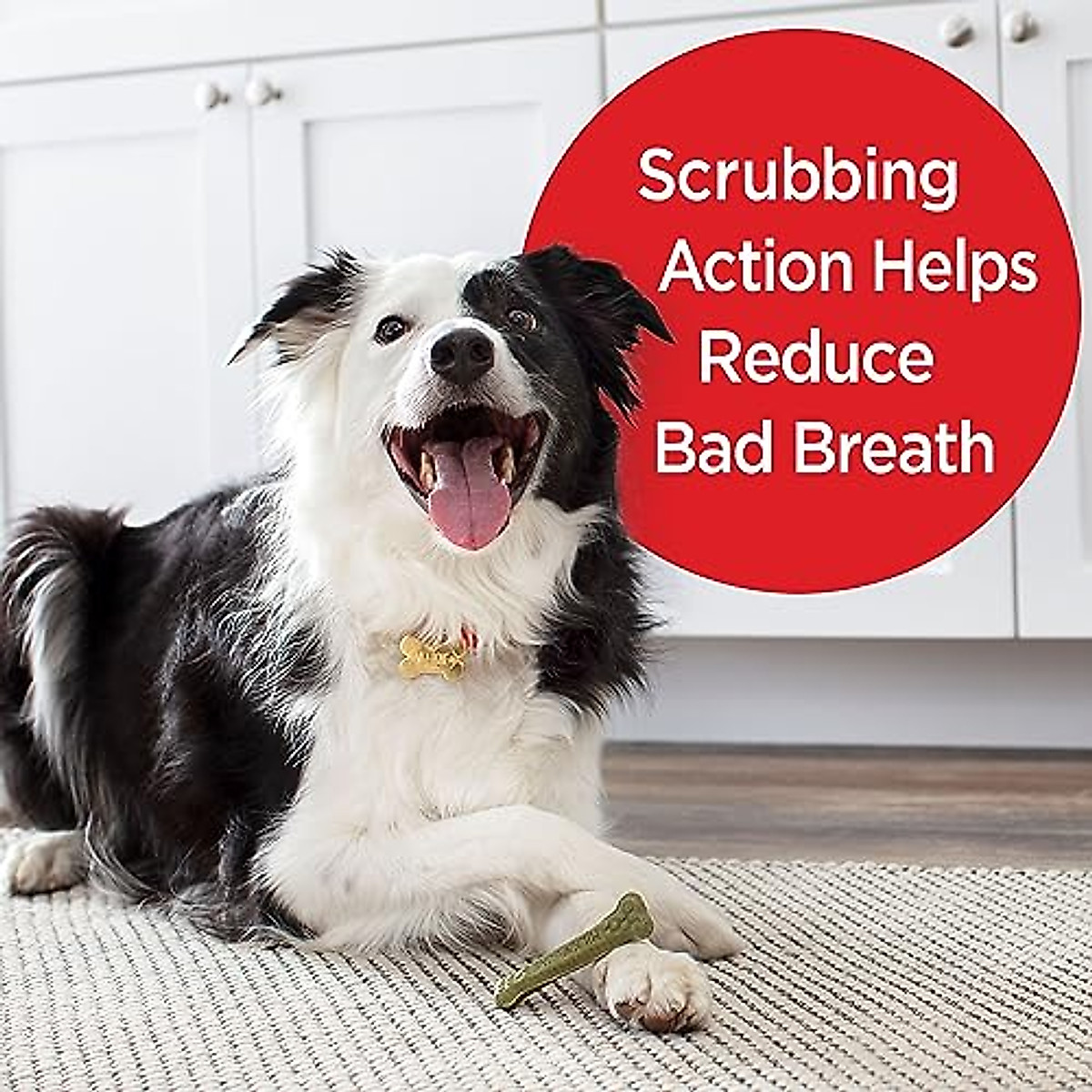 Milk-Bone Fresh Breath Brushing Chews, 25 Small/Medium Daily Dental Dog Treats