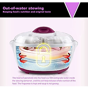 Tianji DDZ-16BWS Smart Twin Ceramic Pot Electric Stewpot with Steam tray,1.6L/300W