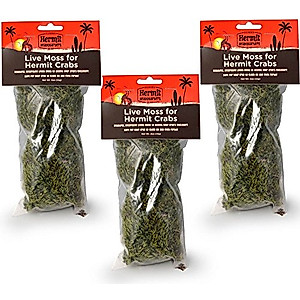 Fluker's Live Moss for Hermit Crabs, 0.5-Ounce Each (3 Pack)