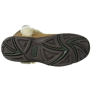 UGG Women's Sunburst Tall Boot, Chestnut, 10