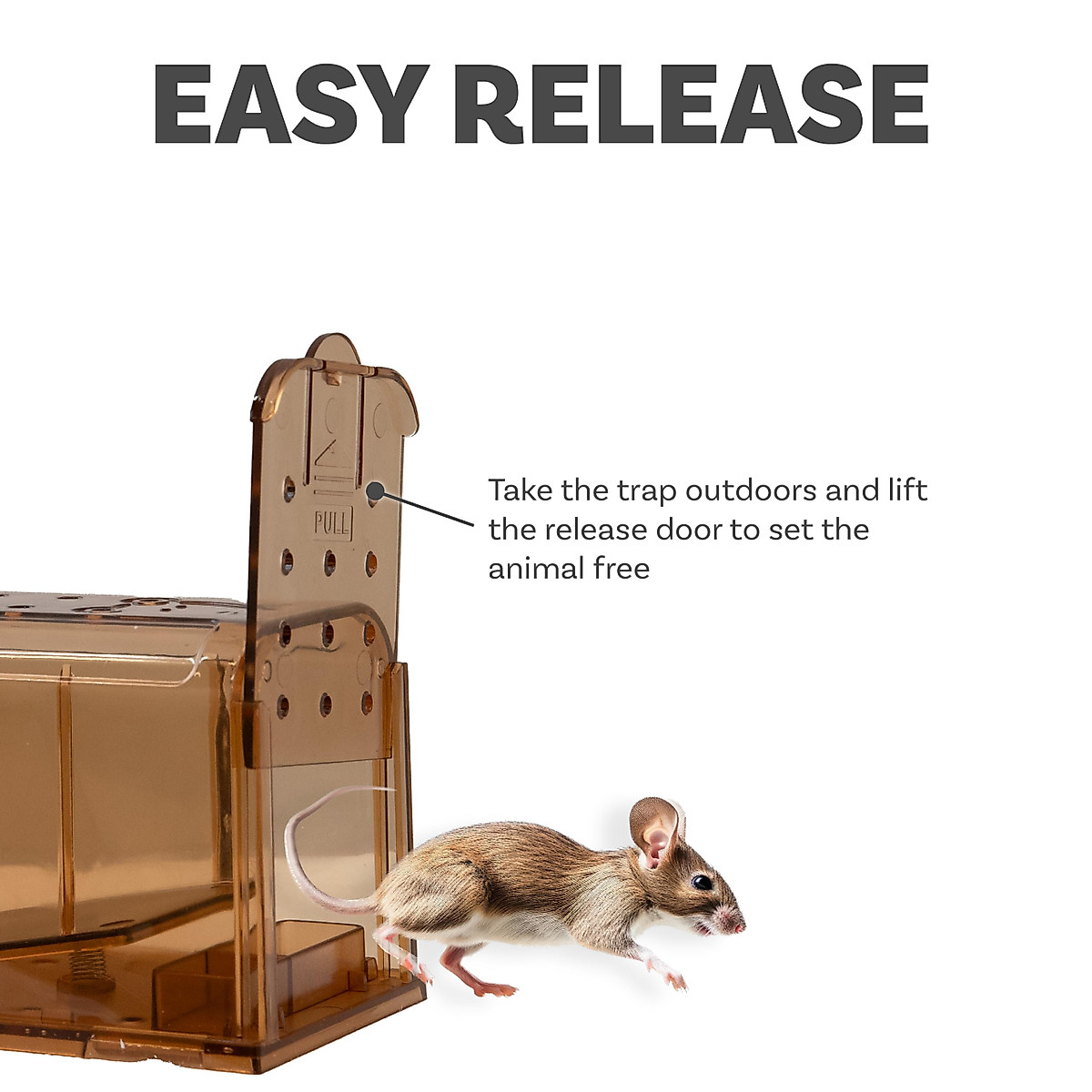 Sunnydaze Humane Mouse Trap - Indoor for Home - Outdoor Mouse Traps - Child and Pet Safe - Reusable - 2-Pack