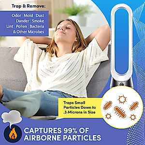 VEVA Premium HEPA Replacement Filter 1 Pack Compatible with All Models Dyson HP04, TP04 and DP04 purifiers, Part # 969048-01
