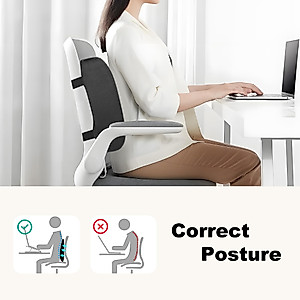 CILI Lumbar Support Pillow for Office Chair, Heated Back Support Pillow with Vibration, Back Massager for Chair, Back Rest Cushion Pillow for Desk Chair Sofa, Gifts for Mom Dad Women Men