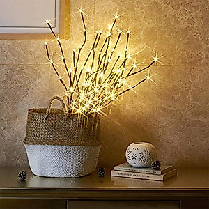EAMBRITE 3PK Brown Lighted Twig Branches Pathway Light with 30" 60 LED Warm White Bulbs for Outdoor and Indoor