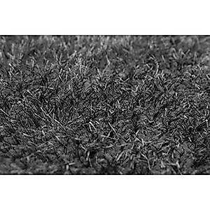 Vista Living Claudia Shag Area Rug 30 in. x 48 in., Charcoal