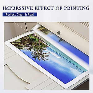 Mooho Compatible 245XL 246XL Ink Cartridge Black Color Combo Replacement for Canon 245 246 PG-245XL CL-246XL 243XL 244XL for Pixma MX490 MX492 MG2522 MG2922 MG2520 MG2920 TS3122 TS3100 TR4520 Printer