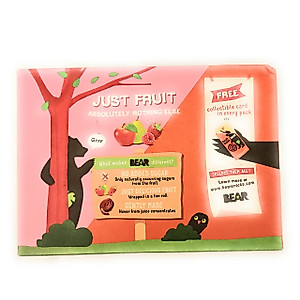 Bear Real Fruit Snack Rolls, Strawberry & Raspberry Variety Pack, 48 Roll (24pk, 2 rolls per Pack), Packaged with Bryant Desai Supplies Pen