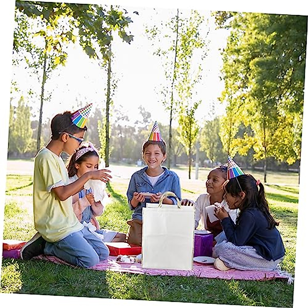 BESPORTBLE Tote Bags bag catering bags insulated bag tote bags portable Packing Insulated Bag