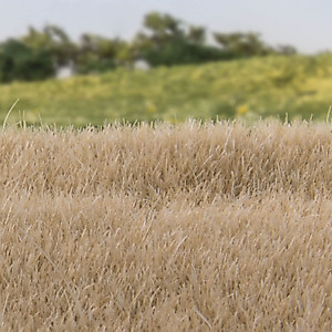 Woodland Scenic Static Grass 4mm-Straw -FS620