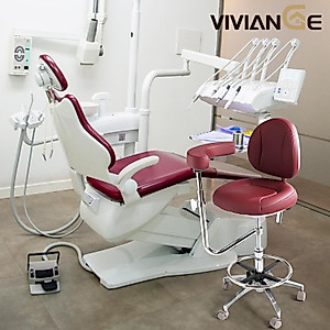 Viviange Ergonomic Dental Saddle Stool - Adjustable Rolling Dentist Chair with Back Support for Hygienists, Assistants - Medical Office & Salon Use -Red