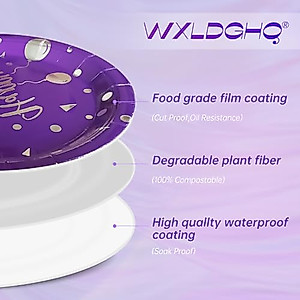 Purple Birthday Supplies,Silver Birthday Plates and Napkins,Serves 25 Guests Purple Paper Plates Napkins Sets for Girl Women Birthday Party Decoration(100 PCS)