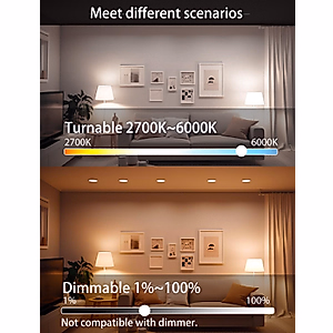 ILC Alexa Light Bulbs, 12W, Smart Light Bulb Work with Alexa Required Echo Device, 2700K-6000K Warm White to Daylight Turnable, A19 E26 No Hub Required (6 Packs)